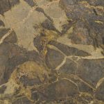 Quartz - Kowalski Granite & Quartz